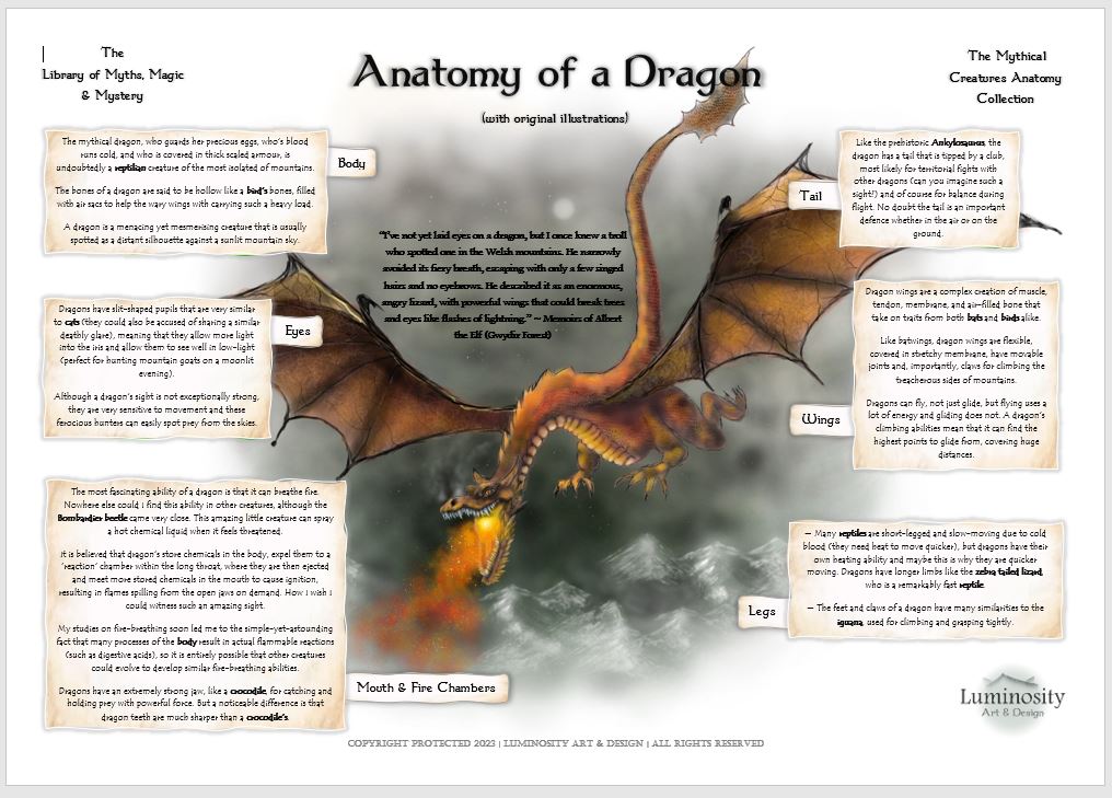 Anatomy of a Dragon