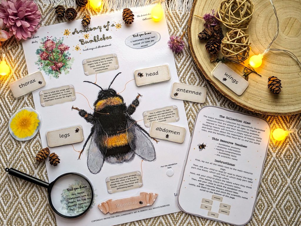 Anatomy of a Bumblebee - Luminosity Art & Design